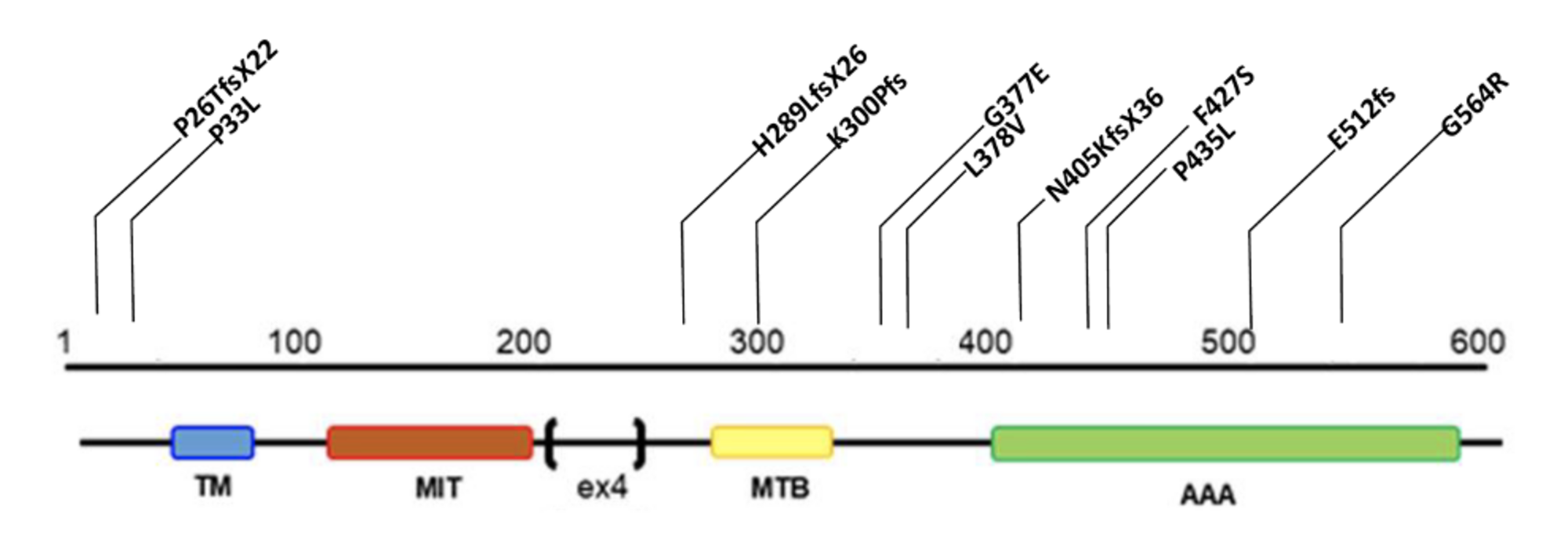 Details - Stopp HSP Austria